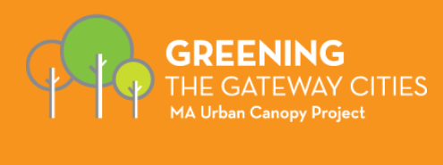 Everett's Urban Tree Canopy - Everett, MA - Official Website