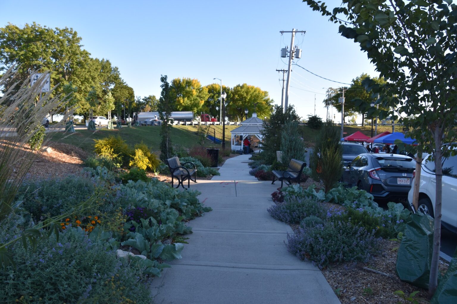 Everett's Urban Tree Canopy - Everett, MA - Official Website